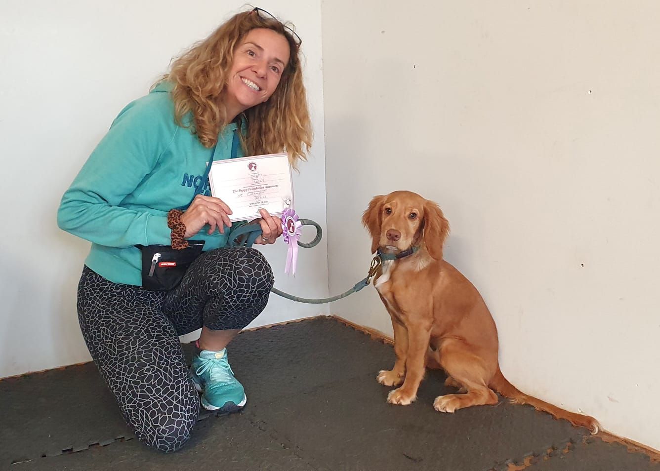 Iron Acton K9 Club | KC GCDS Results Photo Gallery