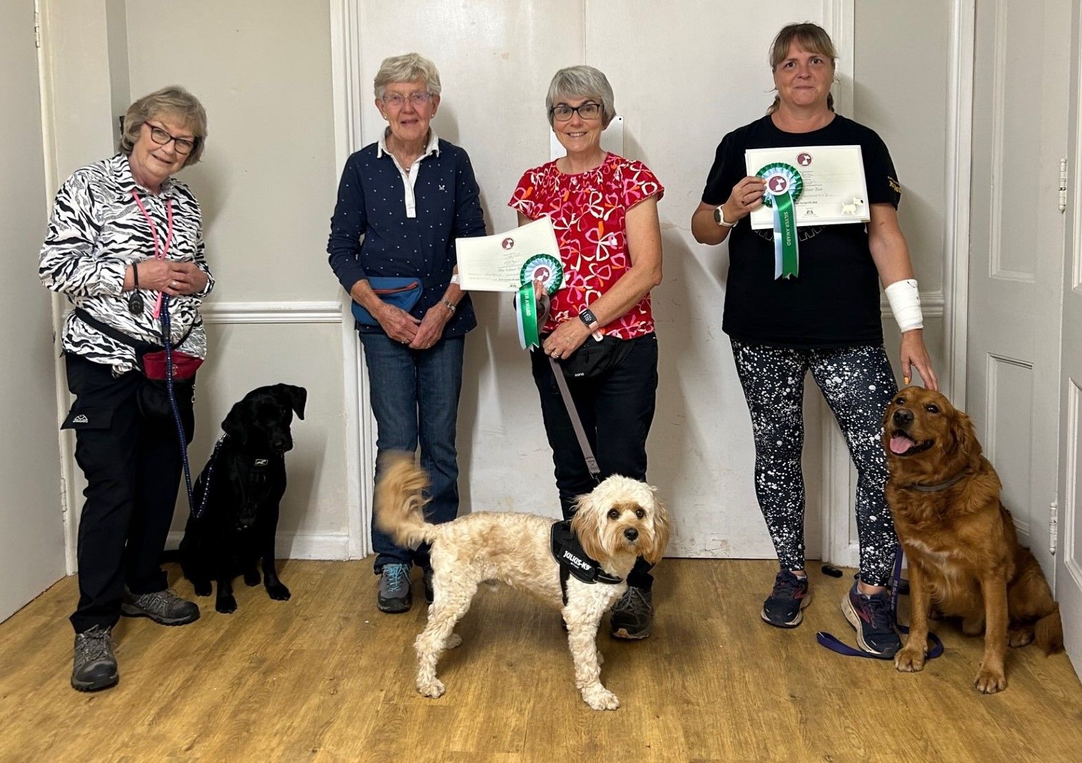 Iron Acton K9 Club | KC GCDS Results Photo Gallery