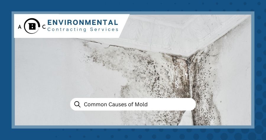 Common Causes of Mold | ABC Environmental Contracting Services in Columbia