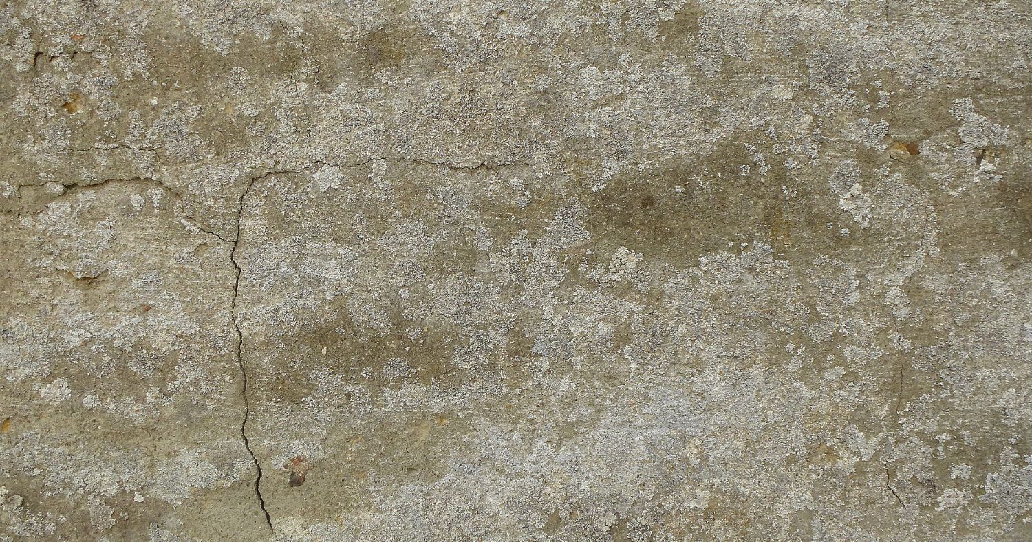 Mold on Concrete | ABC Environmental Contracting Services in Columbia