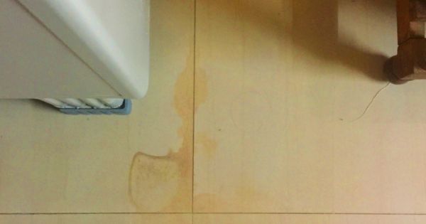 Signs of Water Damage Under Floors | ABC Environmental Contracting Services in Columbia