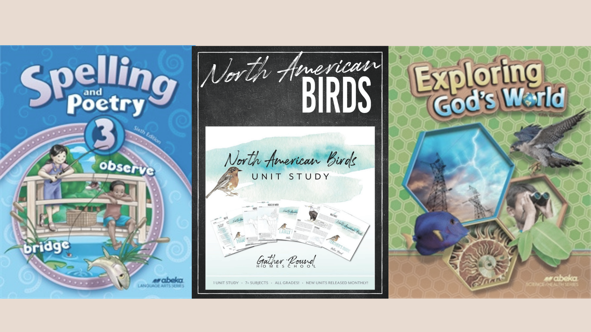 Homeschooling Beginner Basics - How do we do it?