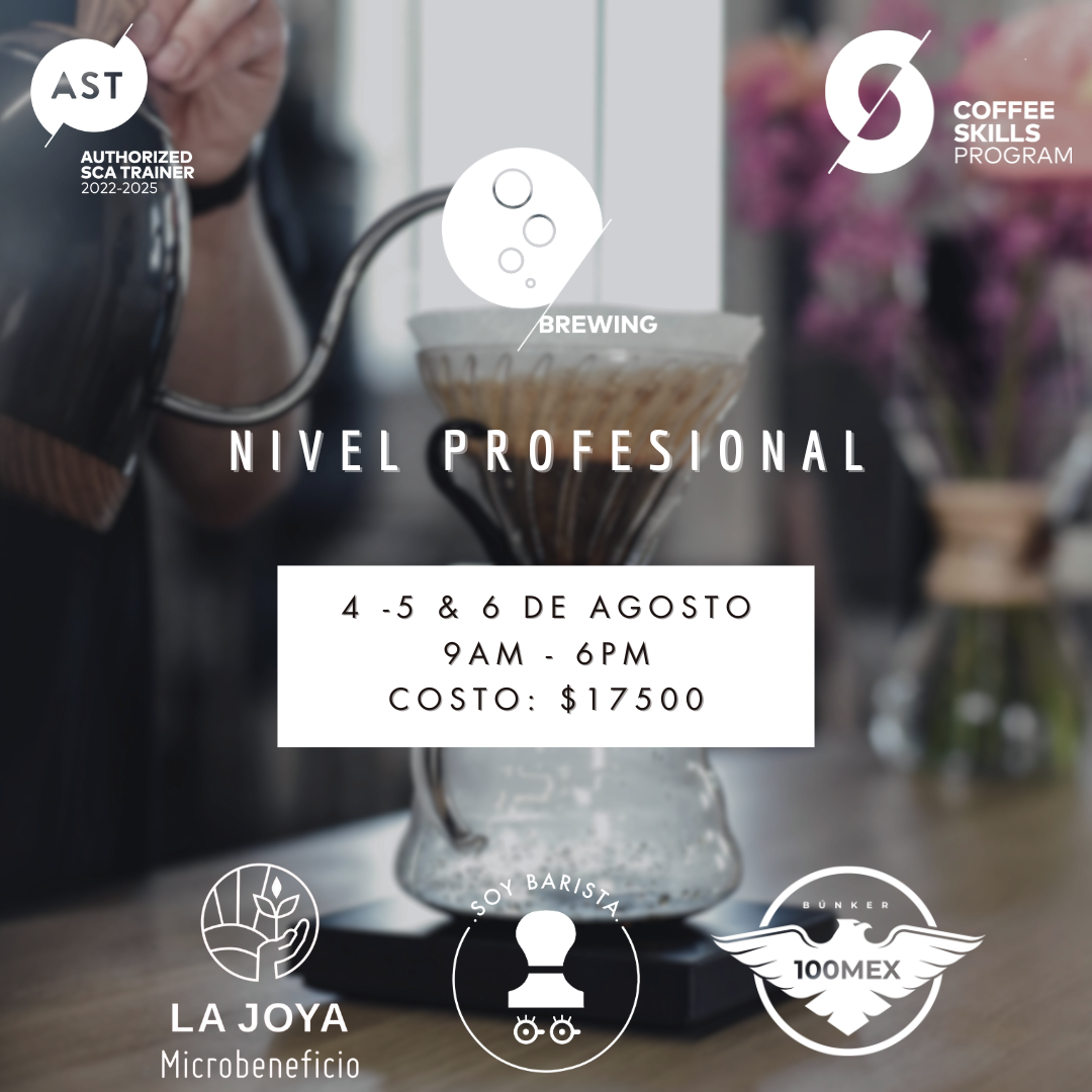 Próximas certificaciones SCA en Veracruz, México