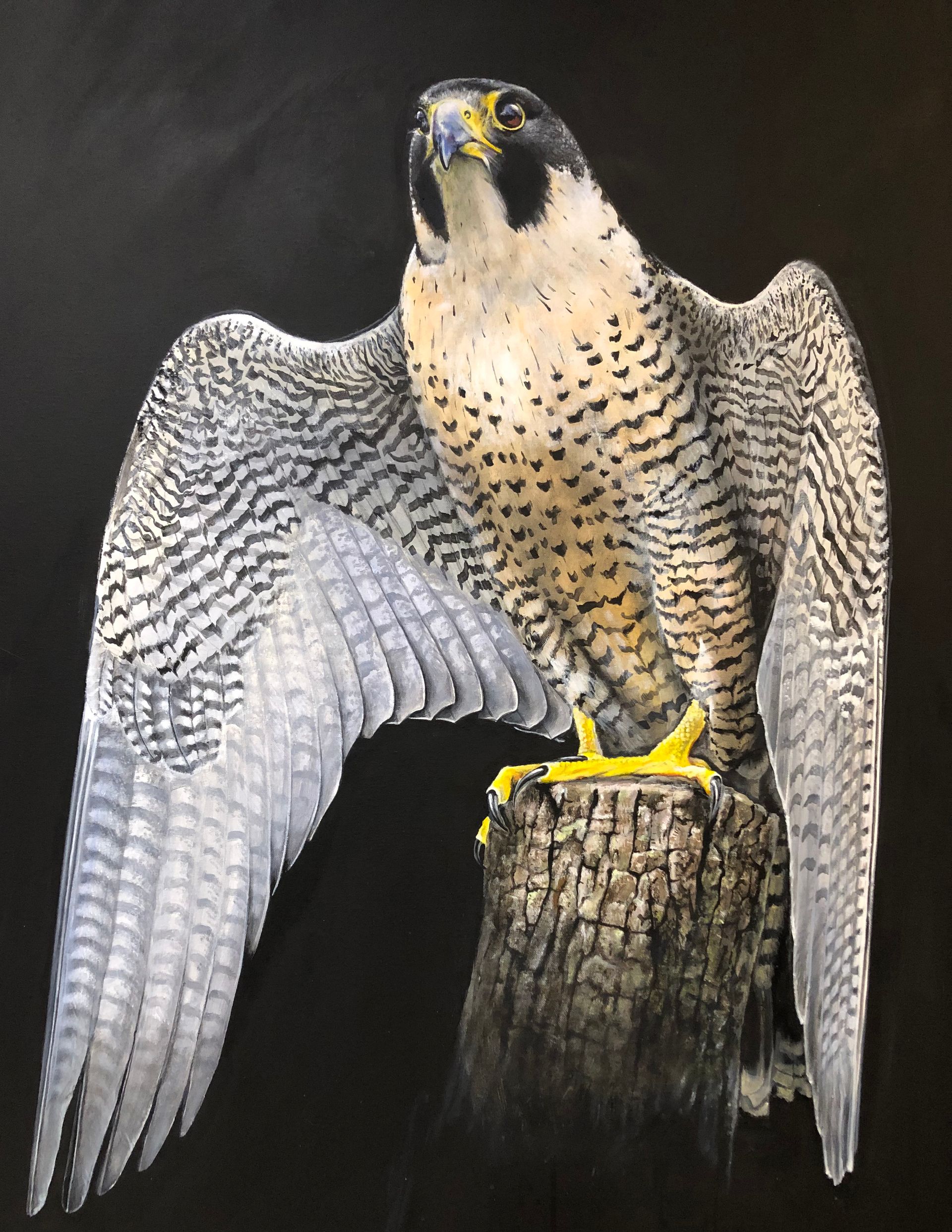 A unique luxury stretch cashmere clothing collection by Alan Scott made ...