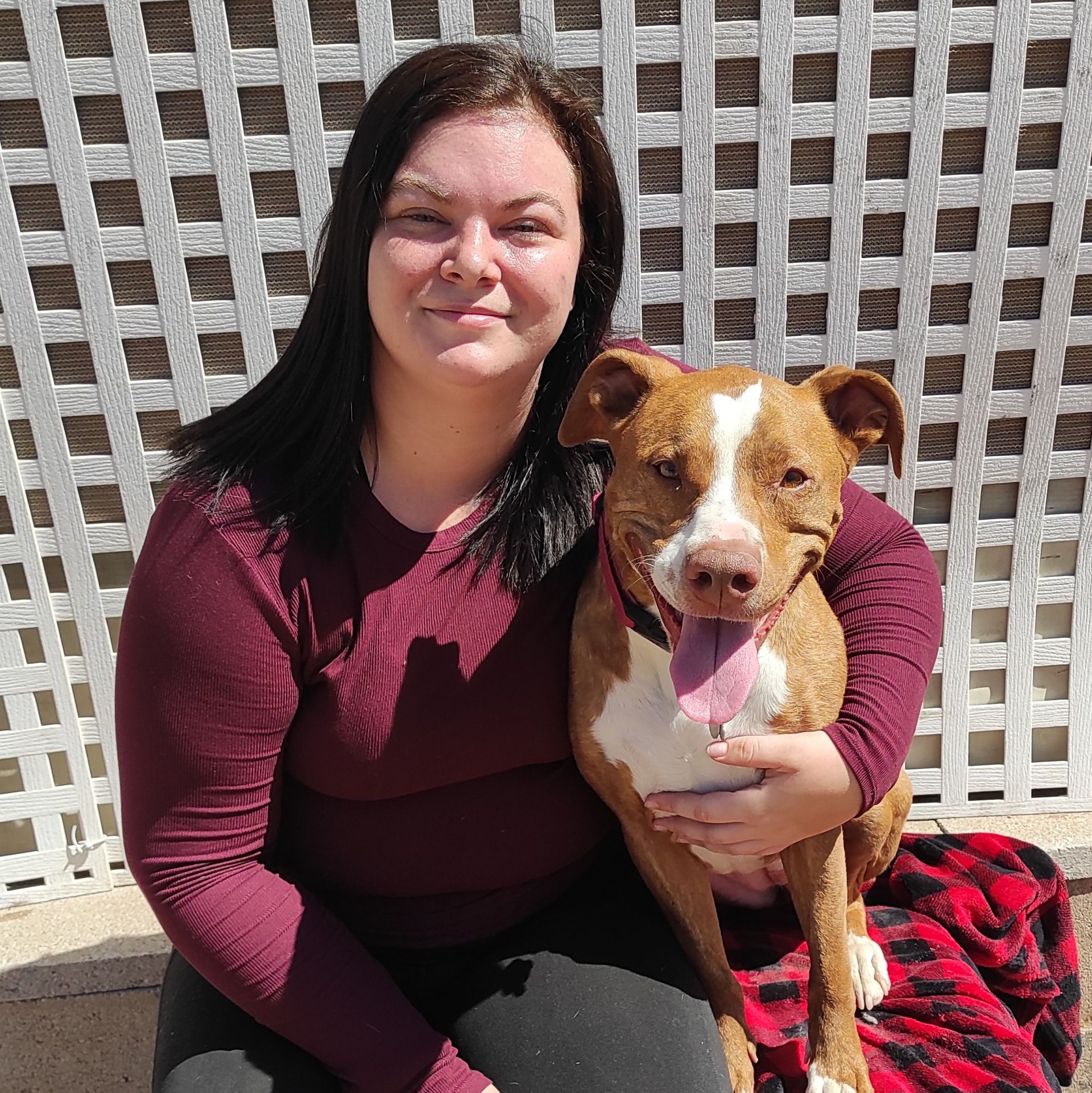 Dog Daycare & Training | Sit! Stay! Play! | Tucson, AZ