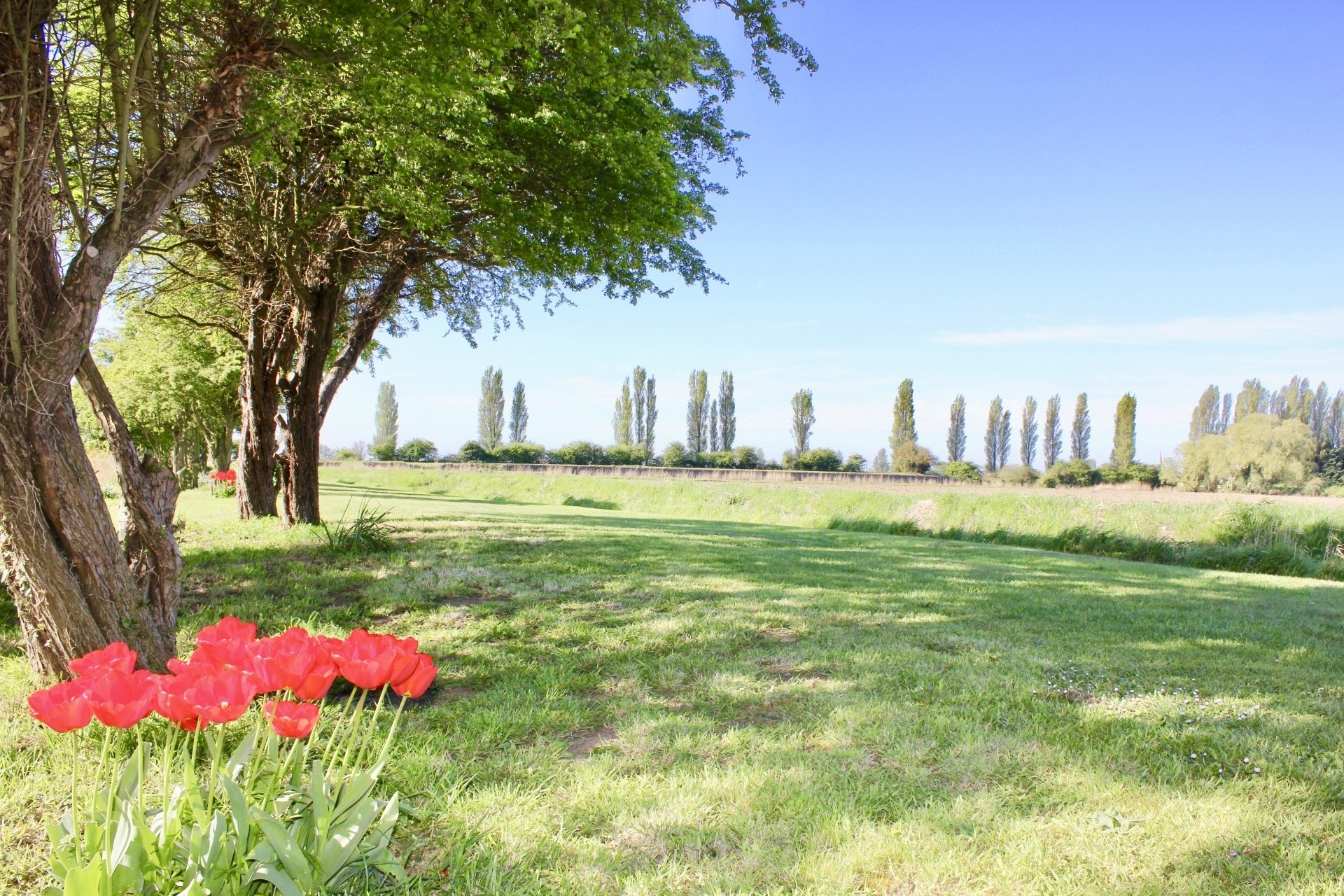 Glamping Pods - Delph Bank Touring Park