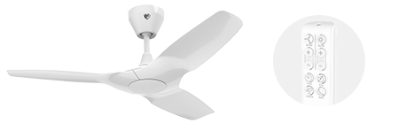 Haiku Fans | 2025 Official Distributor In Singapore