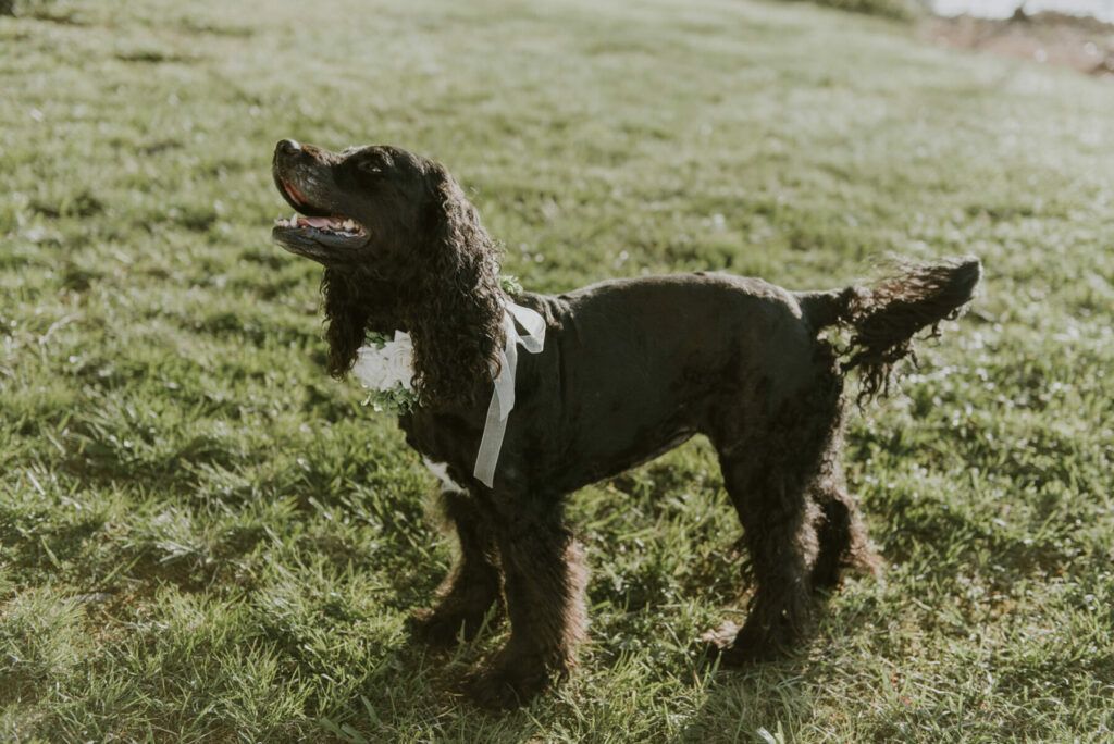 Meet Our Coaches | CrossFit Unmatched in Mount Dora, FL