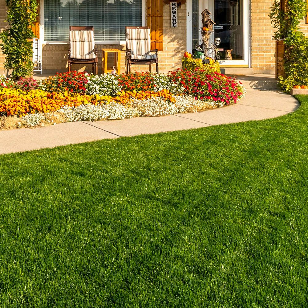 Home [www.newbeginninglandscape.com]