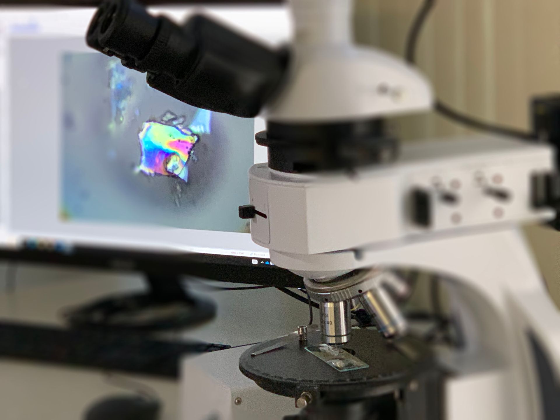 During Peptide Development | PhysChem Solutions