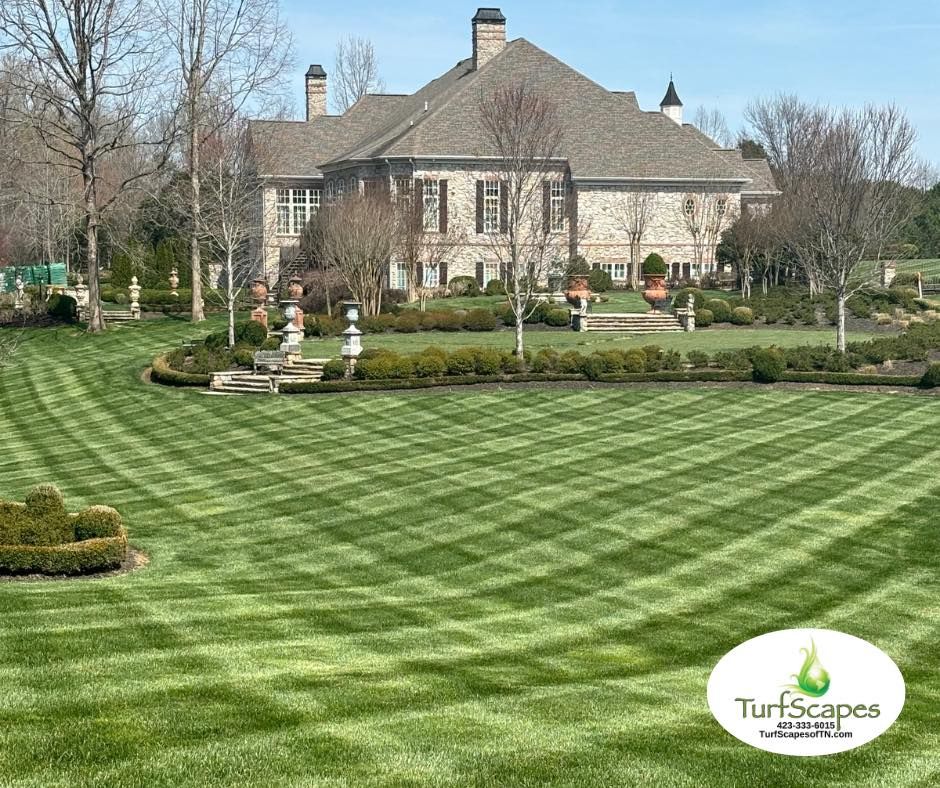 Transform Your Lawn with TurfScapes | Cleveland, TN