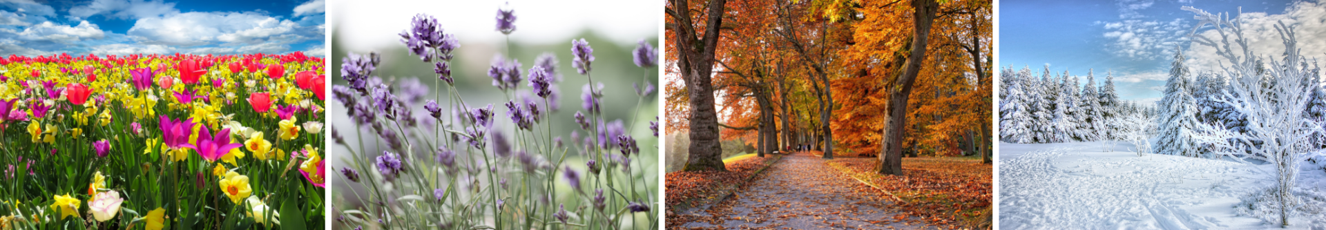 I can tell you which colours you look best in | Emily Bal