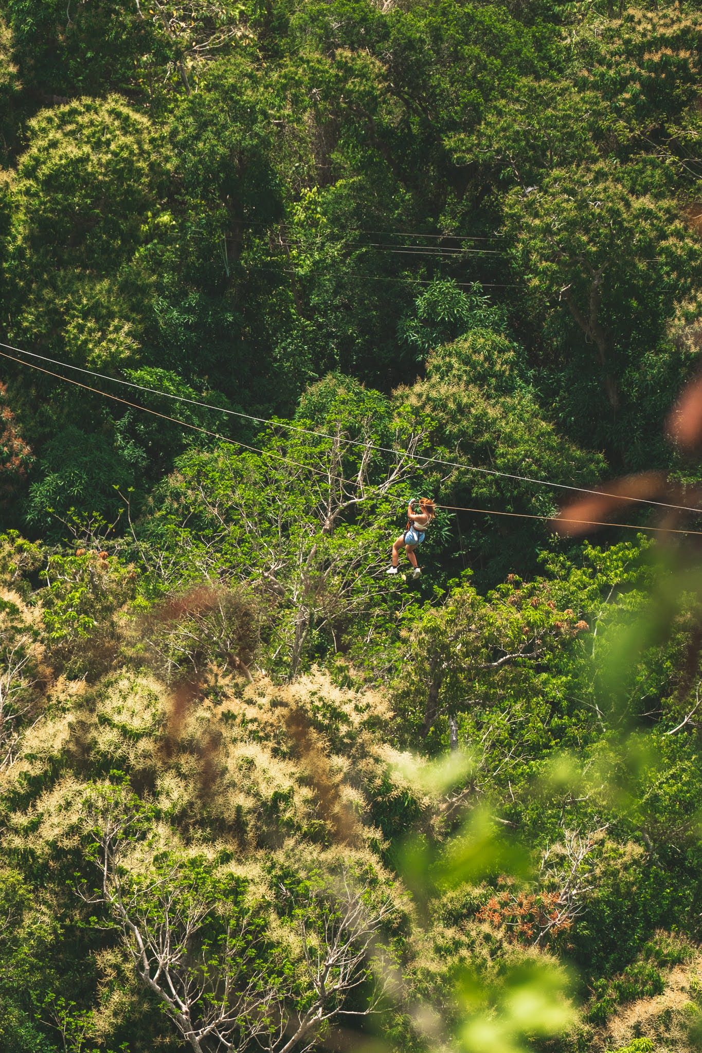 Loterie Farm - Our Zip Line Adventure