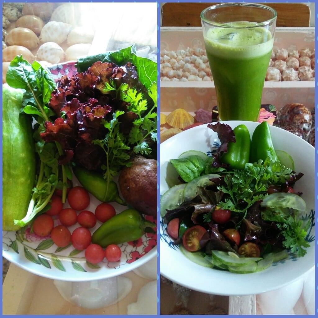 Mike Stone - Martial Arts Legend