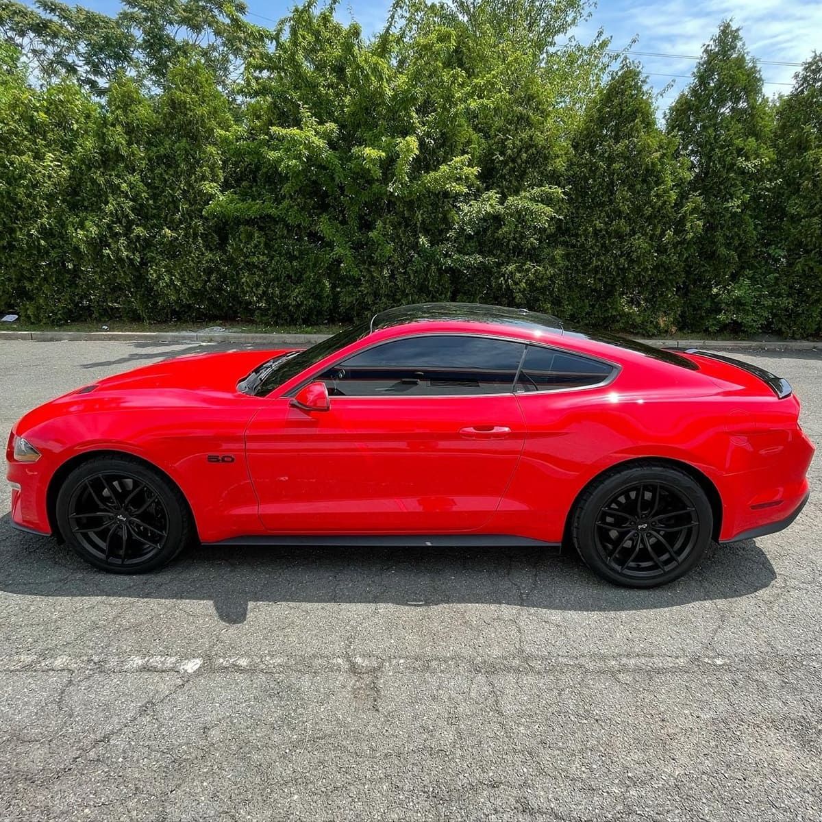 FormulaOne Classic Auto Window Tint | Dyed Window Tint for Personal ...