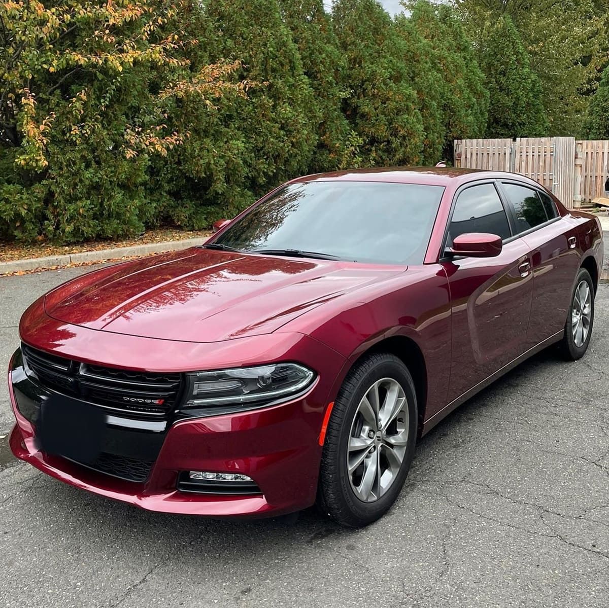 LLumar Paint Protection Film (PPF) | Paint Protection Film Mount Laurel ...