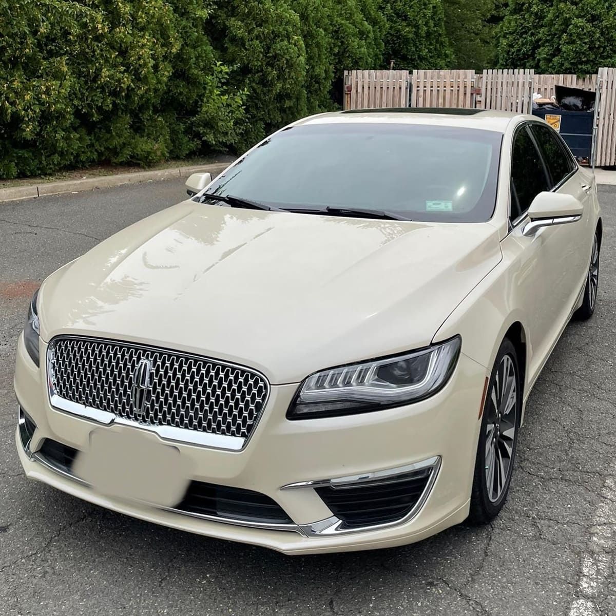 Platinum Matte Paint Protection Film | For a flat finish with added ...