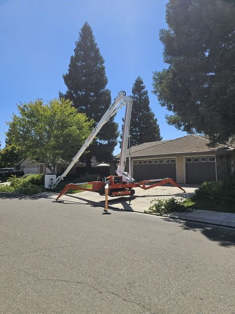 Tree Services | Anderson Tree Service | Merced