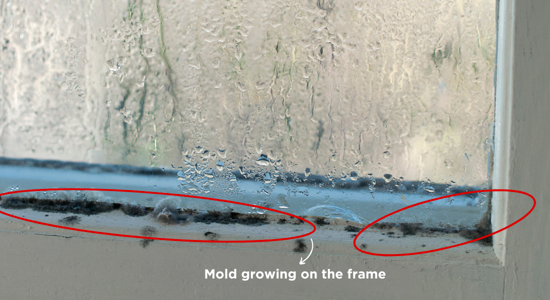 Guide to Troubleshoot and Fix Leaky Windows | Allnite Glass, TN