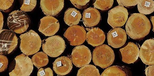 Genera | New Zealand Fumigation, Poultry, Pest Management & Warehousing