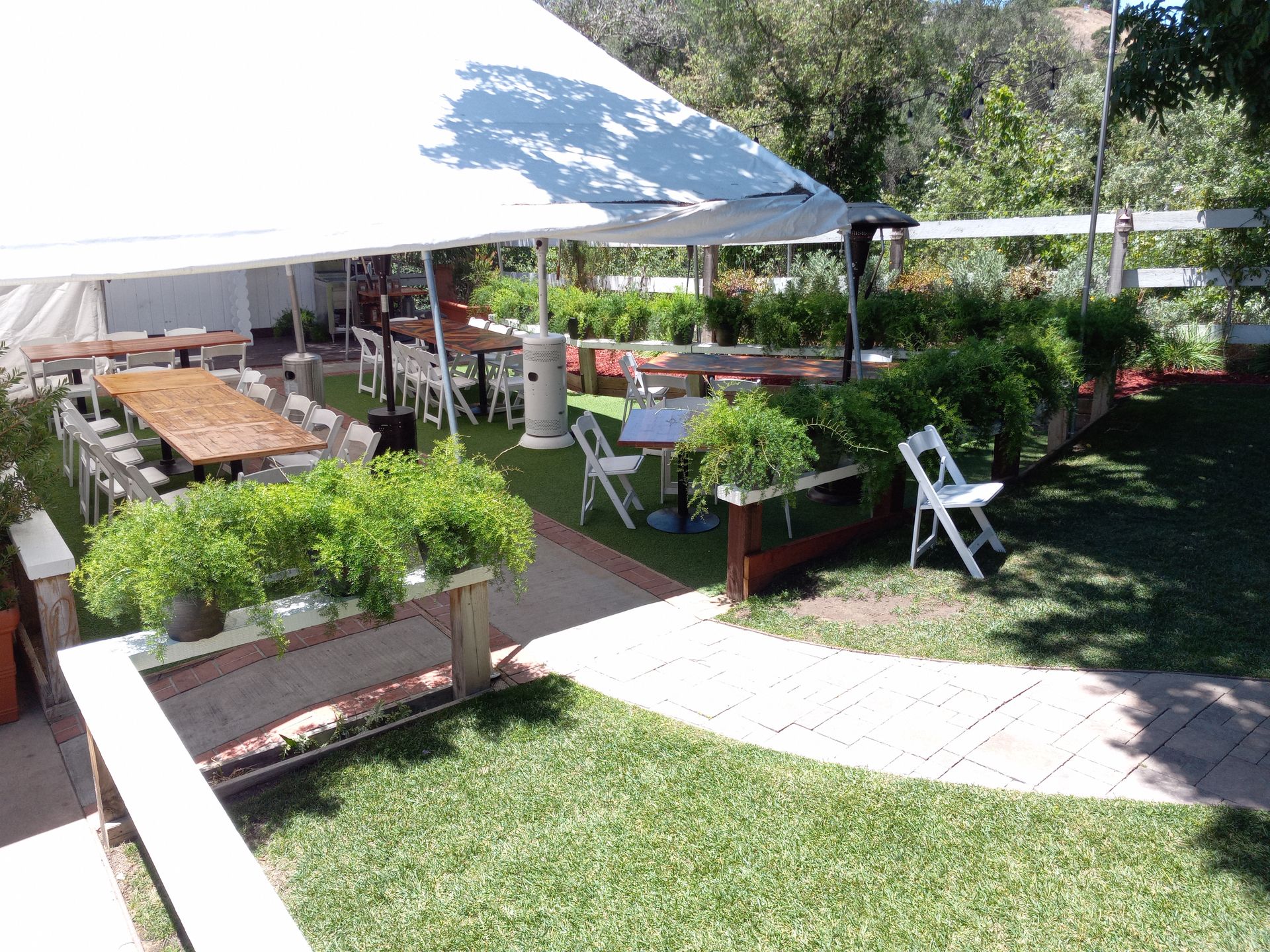 Potted Plant, Flower & Tree Rental For Weddings & Event in San Diego