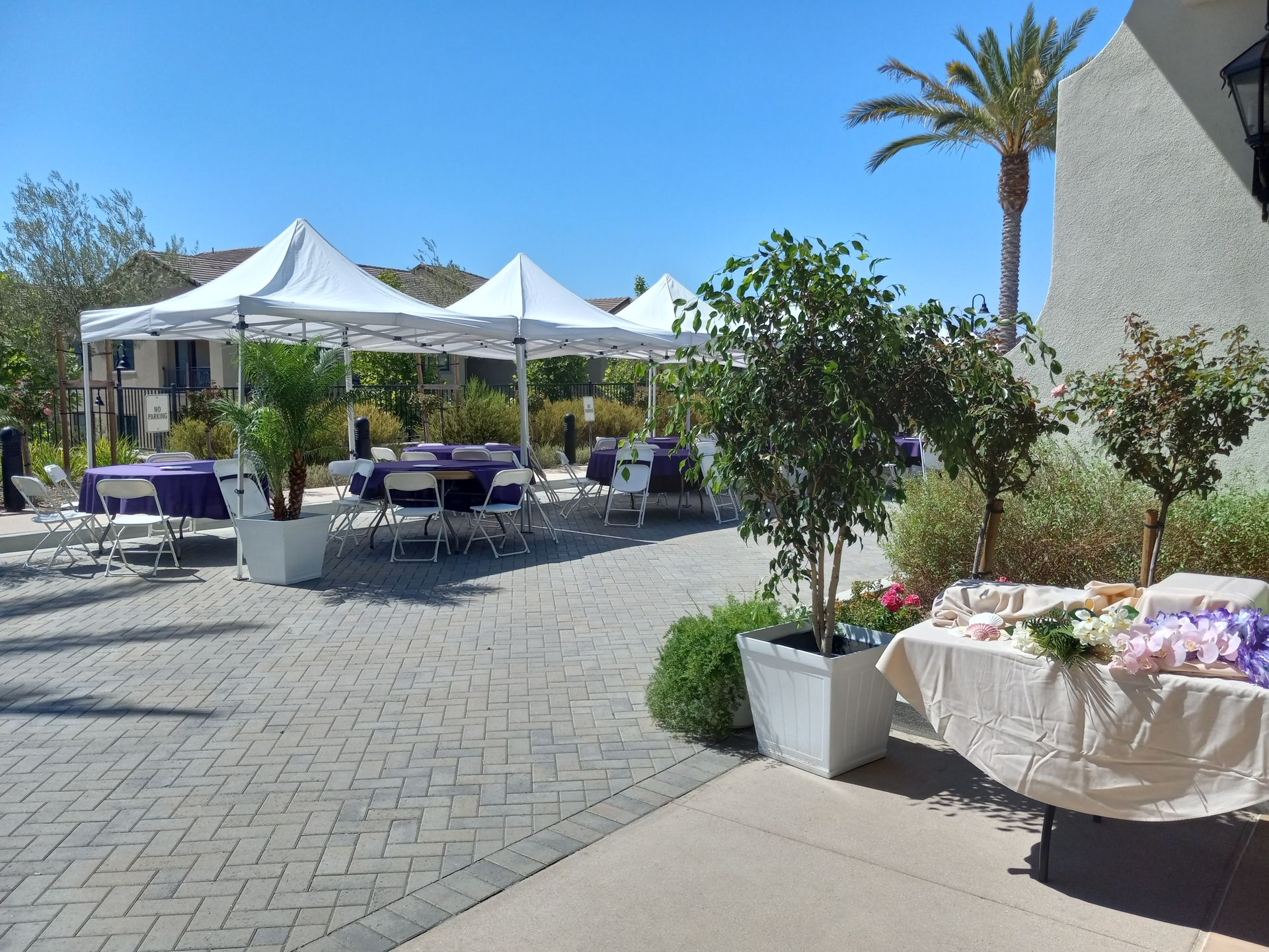 Potted Plant, Flower & Tree Rental For Weddings & Event in San Diego