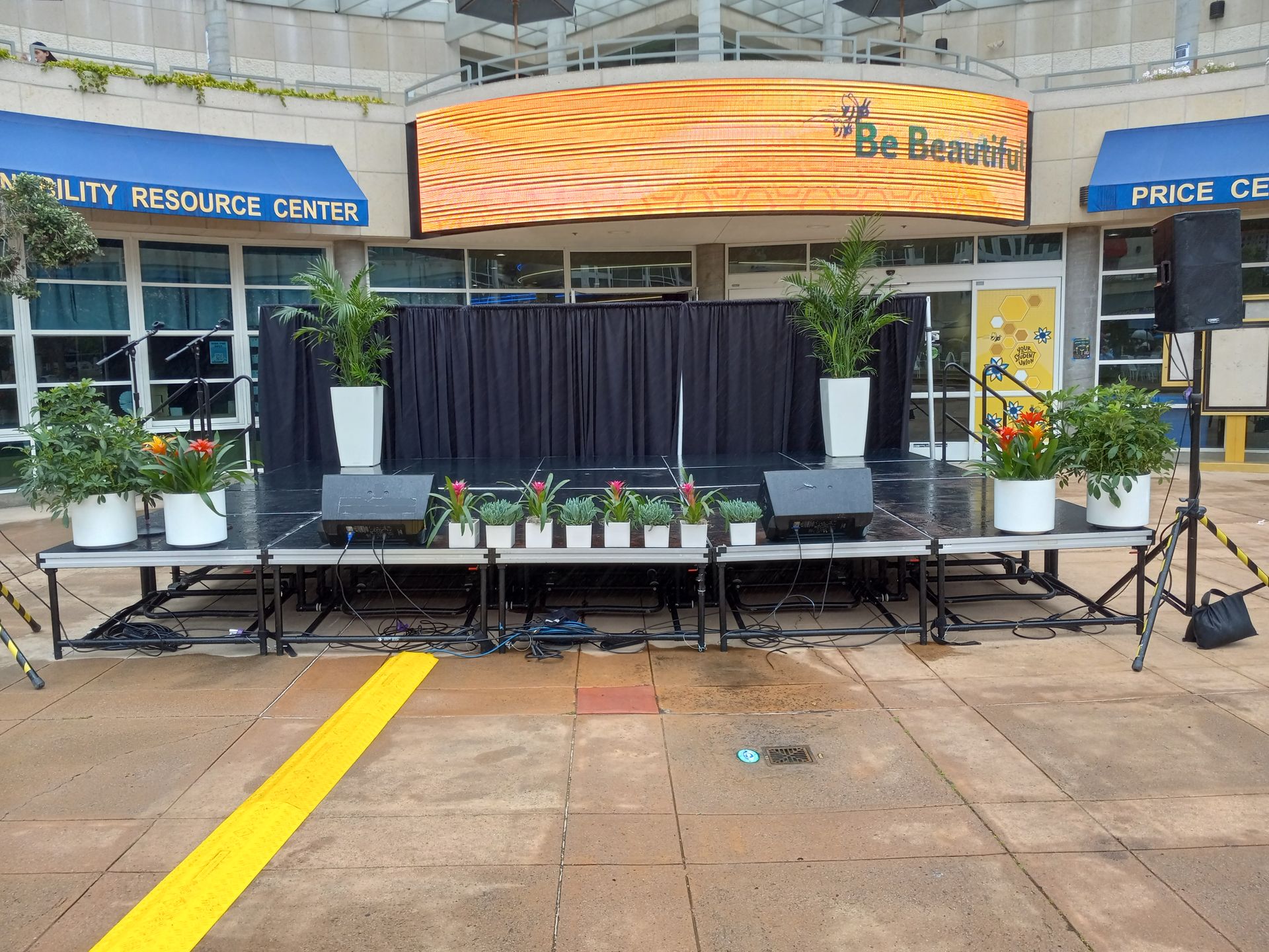 Potted Plant, Flower & Tree Rental For Weddings & Event in San Diego