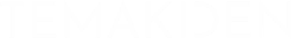 Temaki Den | Denver Hand Roll & Aburi Sushi