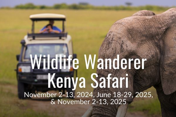 Upcoming FAMs for Travel Agents & Advisors | TopFams Destinations