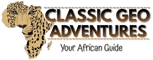 About TopFams | Empowering Travel Agents & Advisors with Superior FAM Trips