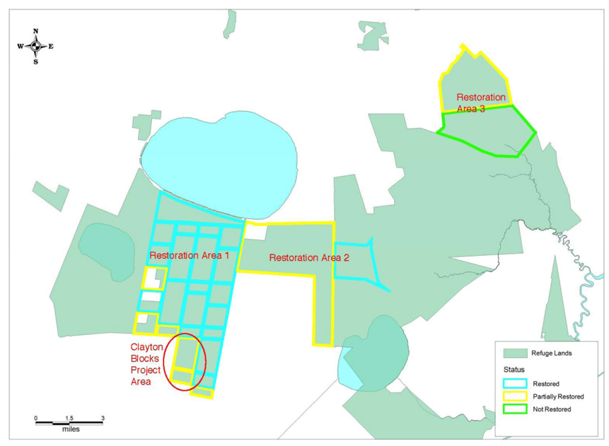 Case Study: Pocosin Lakes Restoration