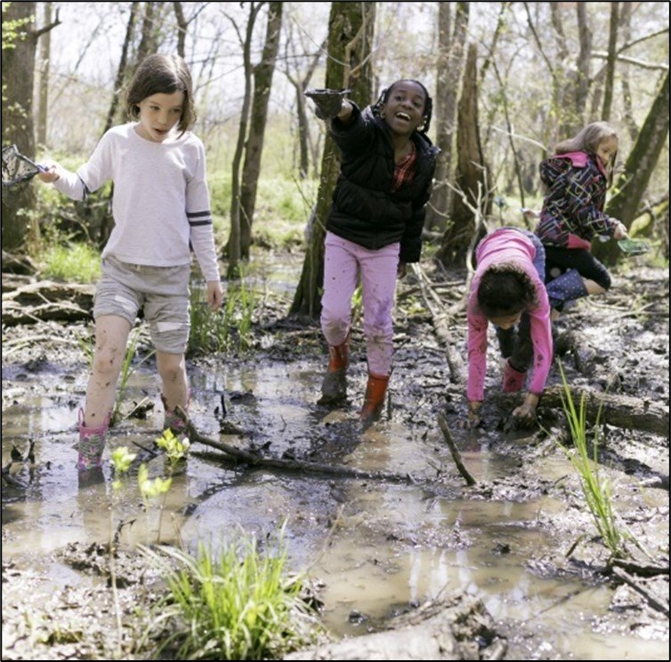 Importance of Marsh Migration Corridors