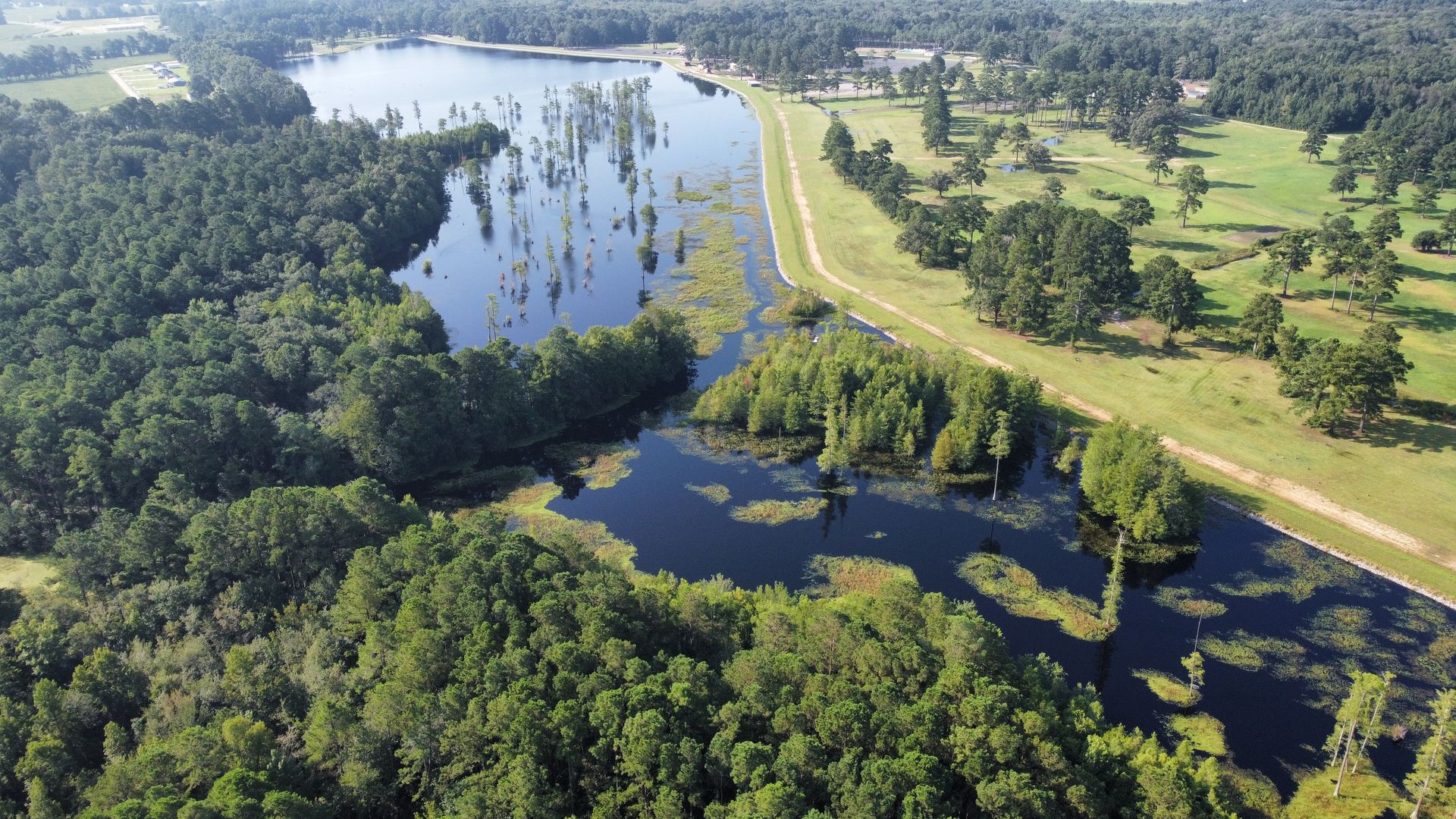Lumbee Wetland Restoration