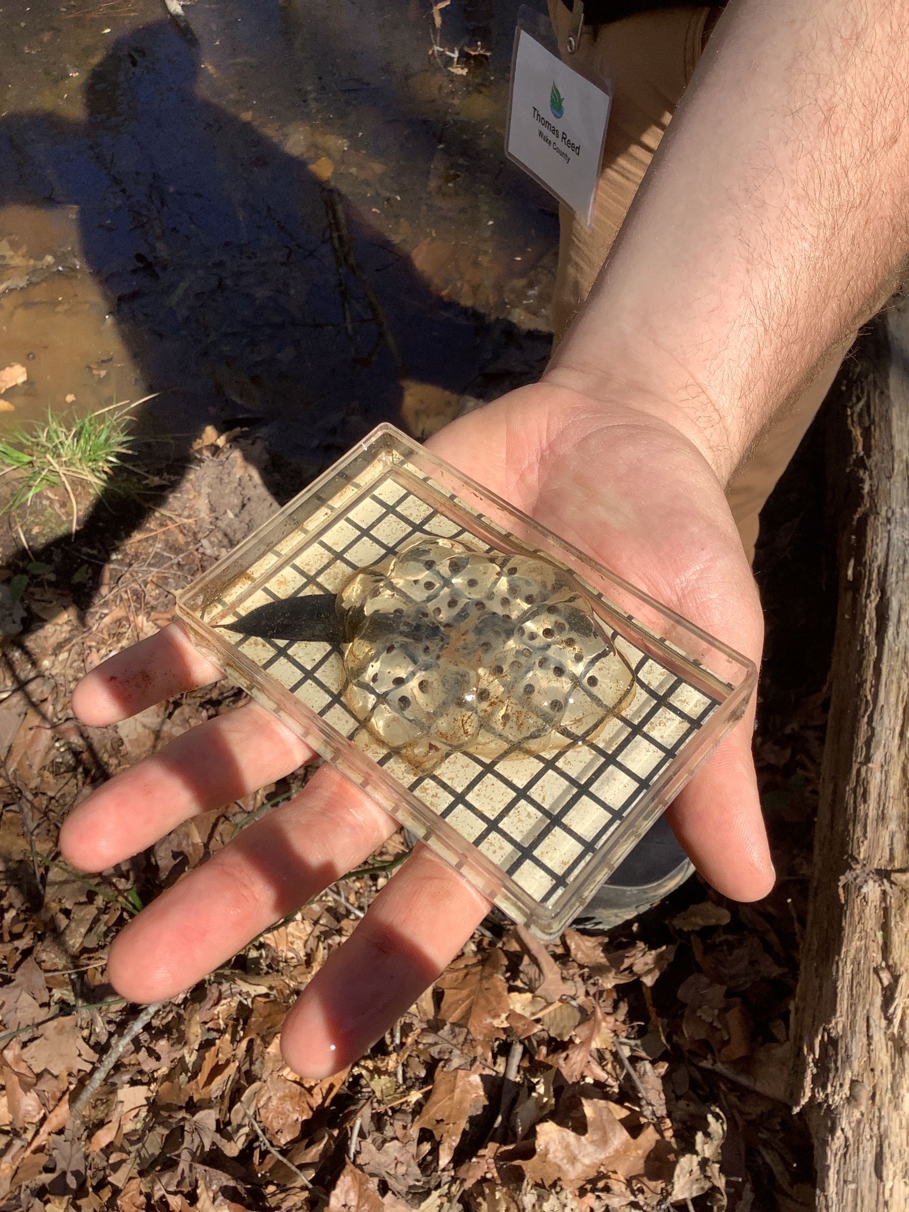 New Volunteers Get Their Feet Wet in First Round of 2023 Volunteer ...