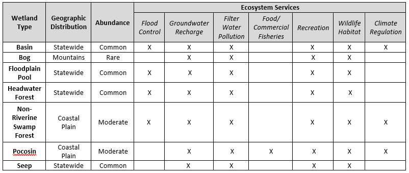 Importance of Small Basin Wetlands