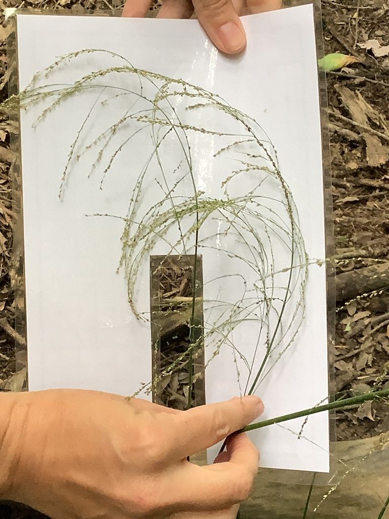 June monitoring: Wetland warriors spent long days in the wetlands with ...