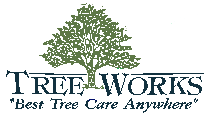 Tree Services – Charlestown, RI – Tree Works Unlimited