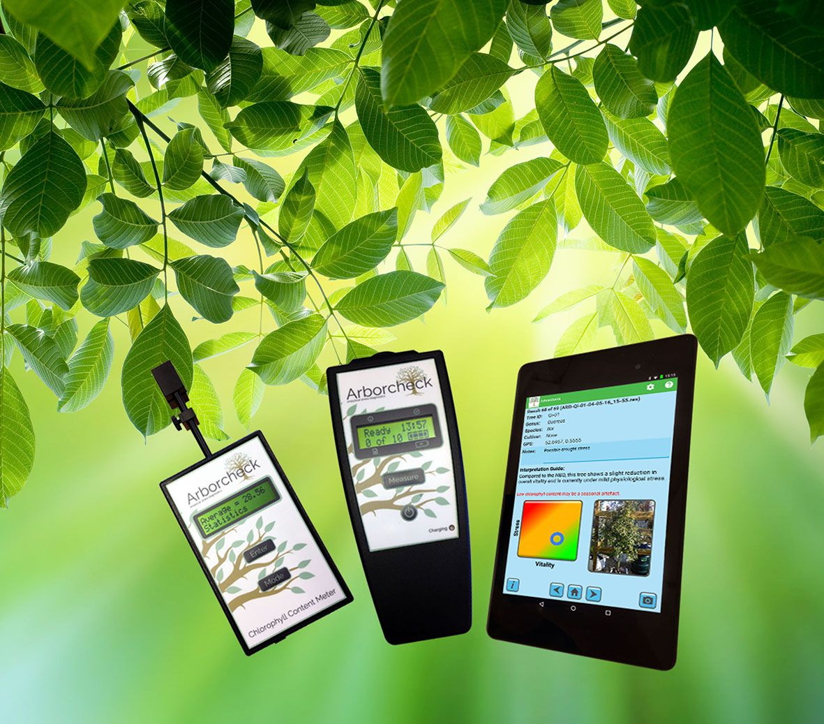 Tree Root & Root Plate Detection | Urban Tree Management