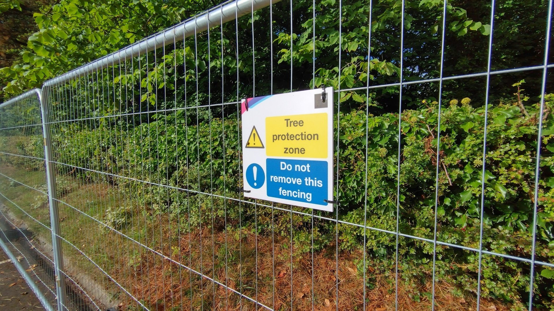 Arboricultural Impact Assessment | Planning Permission & Trees