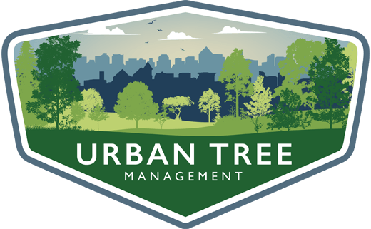 How We Work | Instructing Urban Tree Management