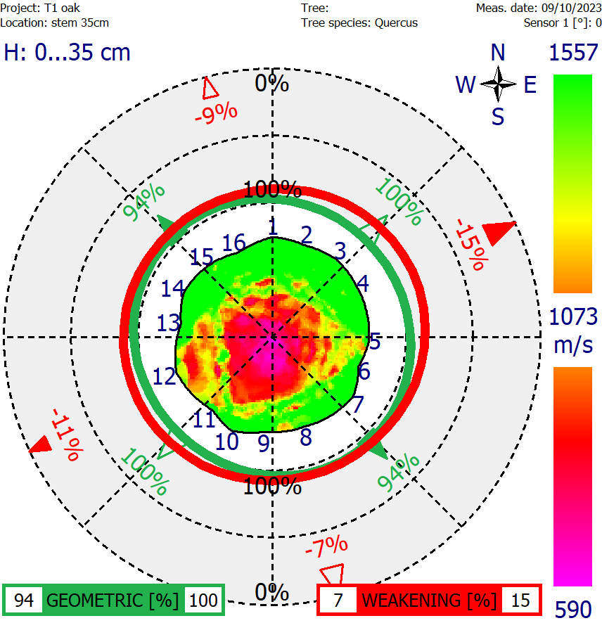 Air Spade Investigations | Urban Tree Management