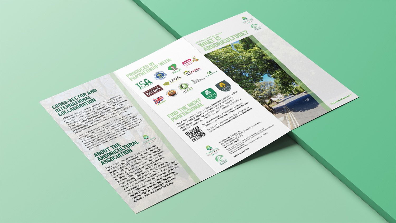 Urban Tree Management | Arboricultural Consultants