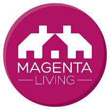 Tree Decay Detection | Advanced Tree Inspections