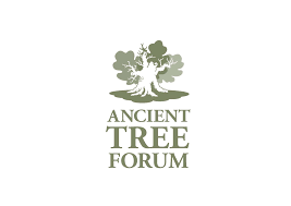 Arboricultural Resources | Urban Tree Management