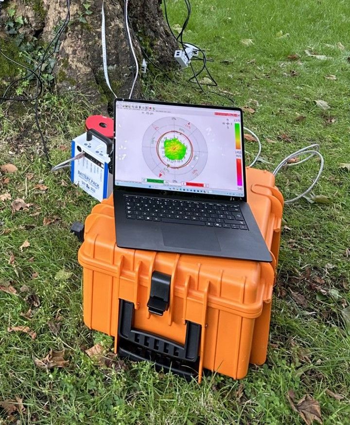 Tree Decay Detection | Internal Tree Inspections