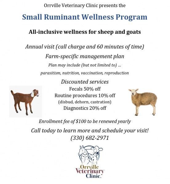 Small Ruminant Wellness Plan
