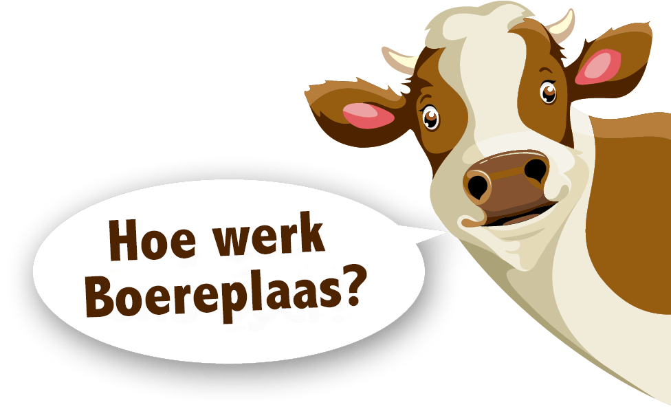 Boer saam