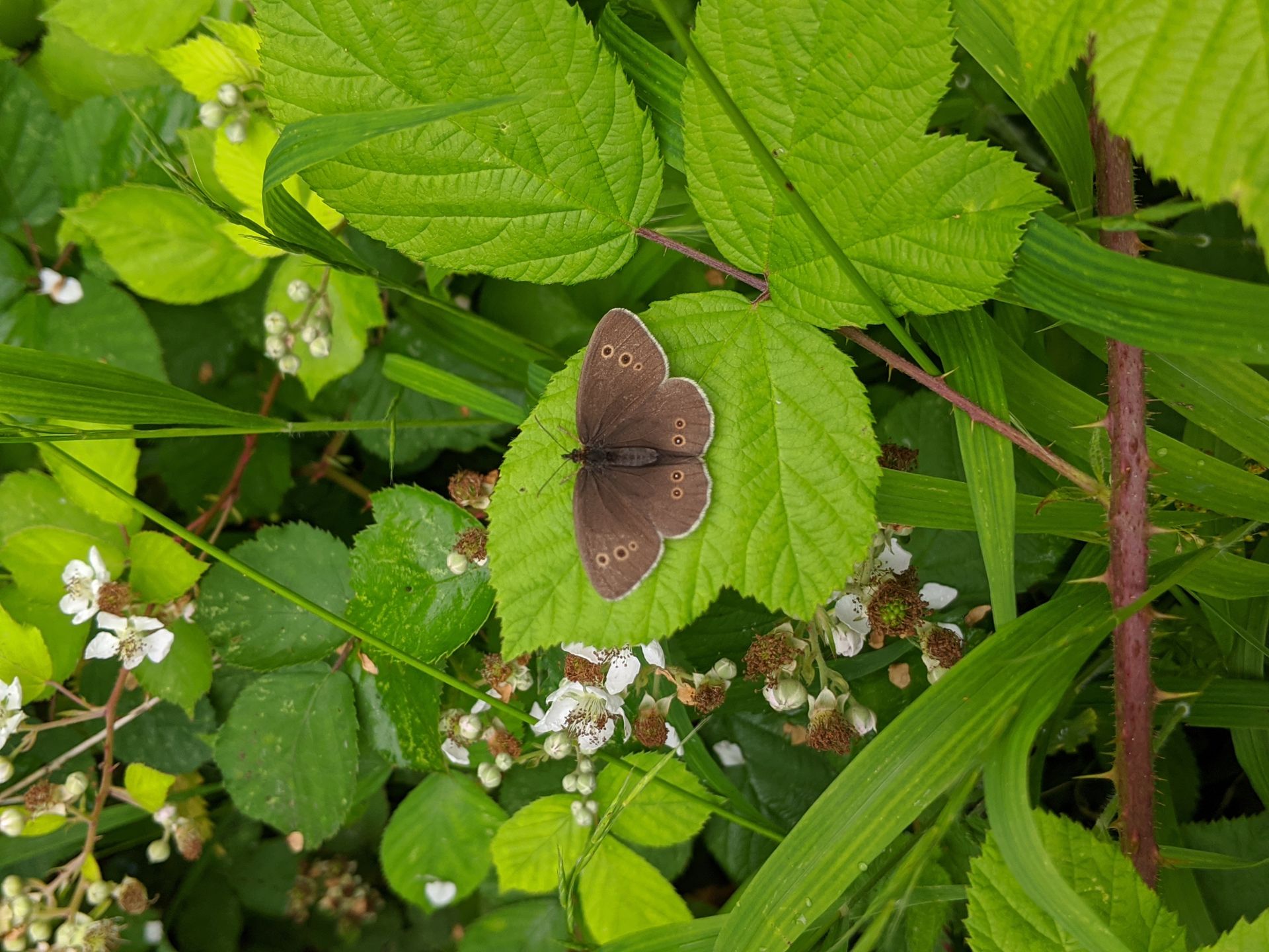 Wildgoose Rural Training & Nature Reserve | Worcester