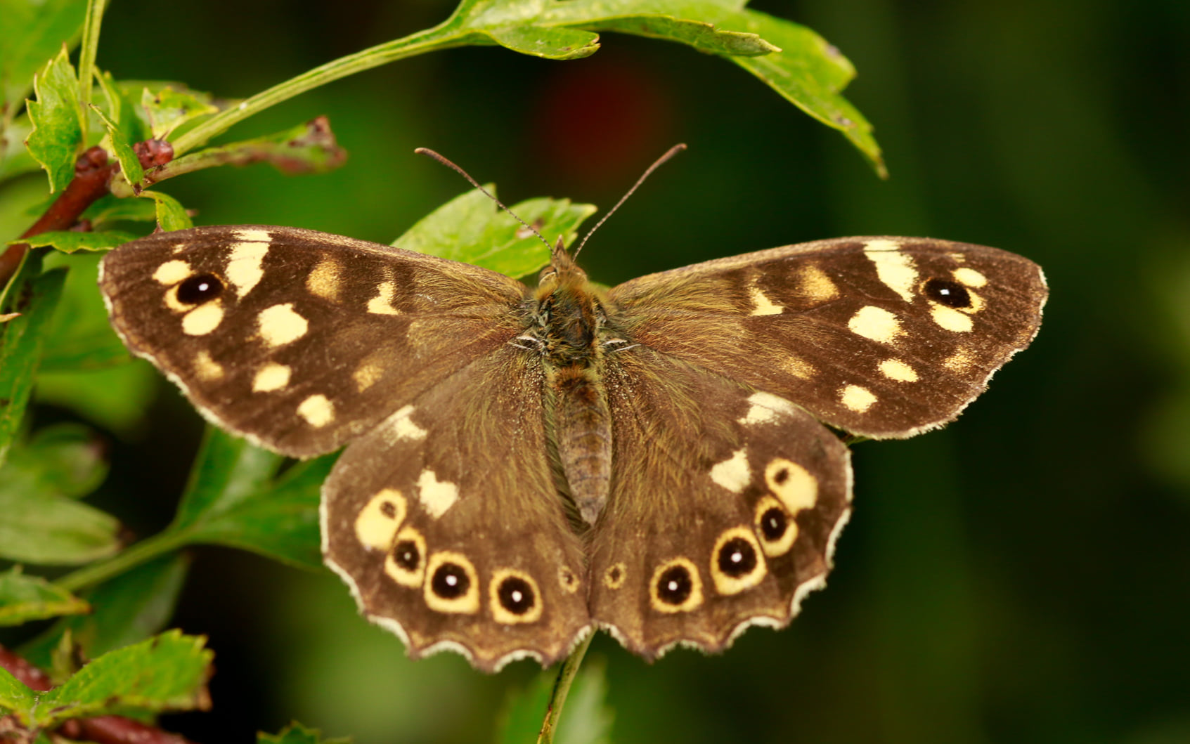 Wildgoose Rural Training & Nature Reserve | Worcester