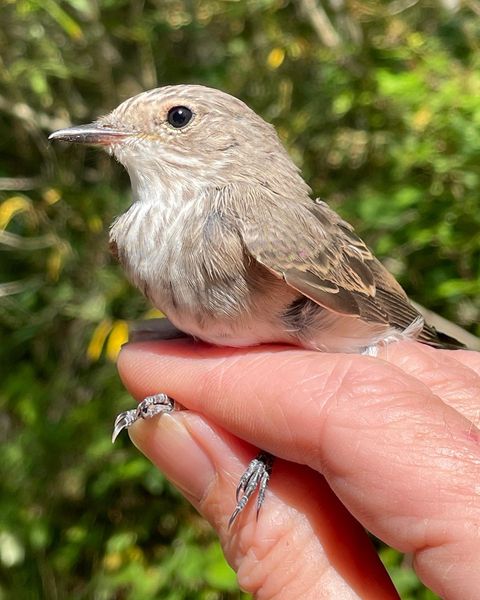 Wildgoose Rural Training & Nature Reserve | Worcester
